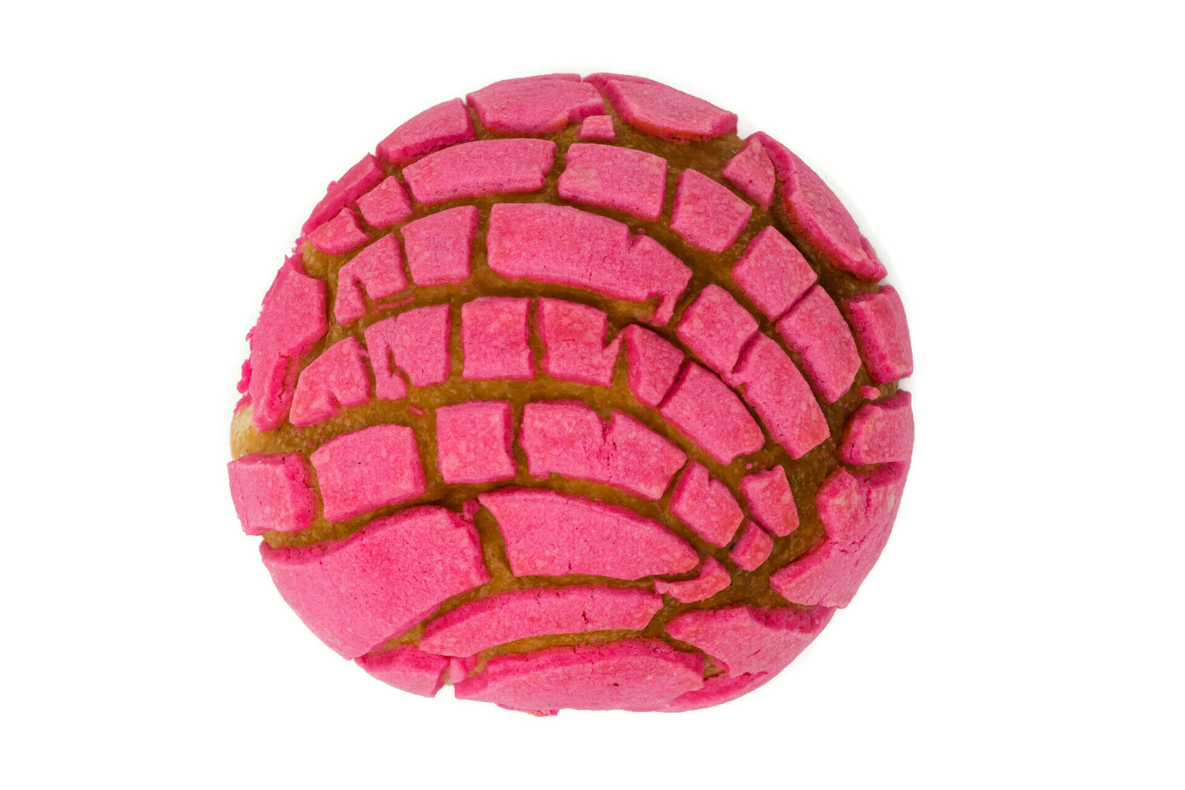 Pink Concha Blanket | 60 Inch Fuzzy Throw